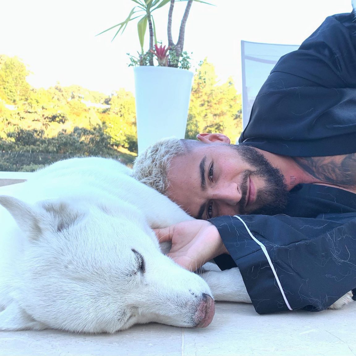 Maluma presentó con fotos a su particular mascota: ¿Cuál es? – Revista ...
