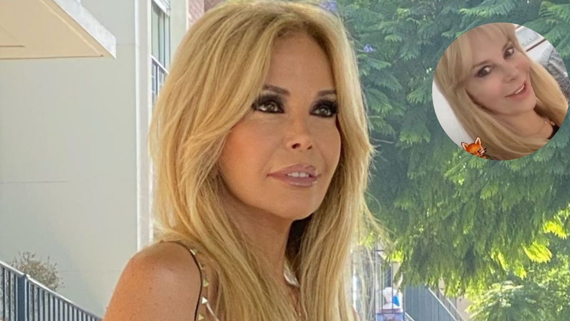 Graciela Alfano se sometió a la cirugía estética de moda y mostró el ...