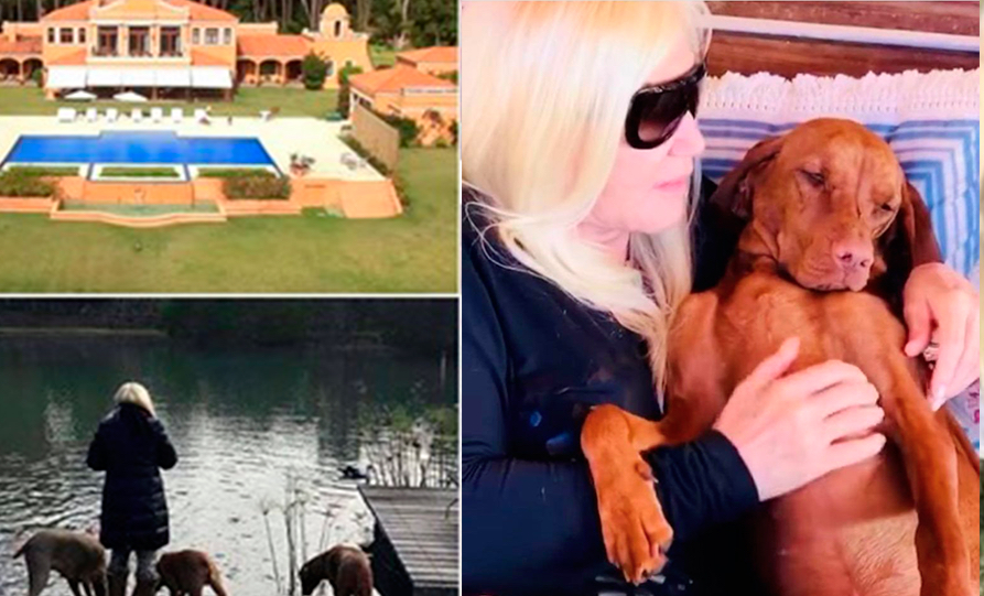 ¡Amores perros! Susana Giménez voló de Miami a Punta para reencontrarse con sus mascotas Rita y ...